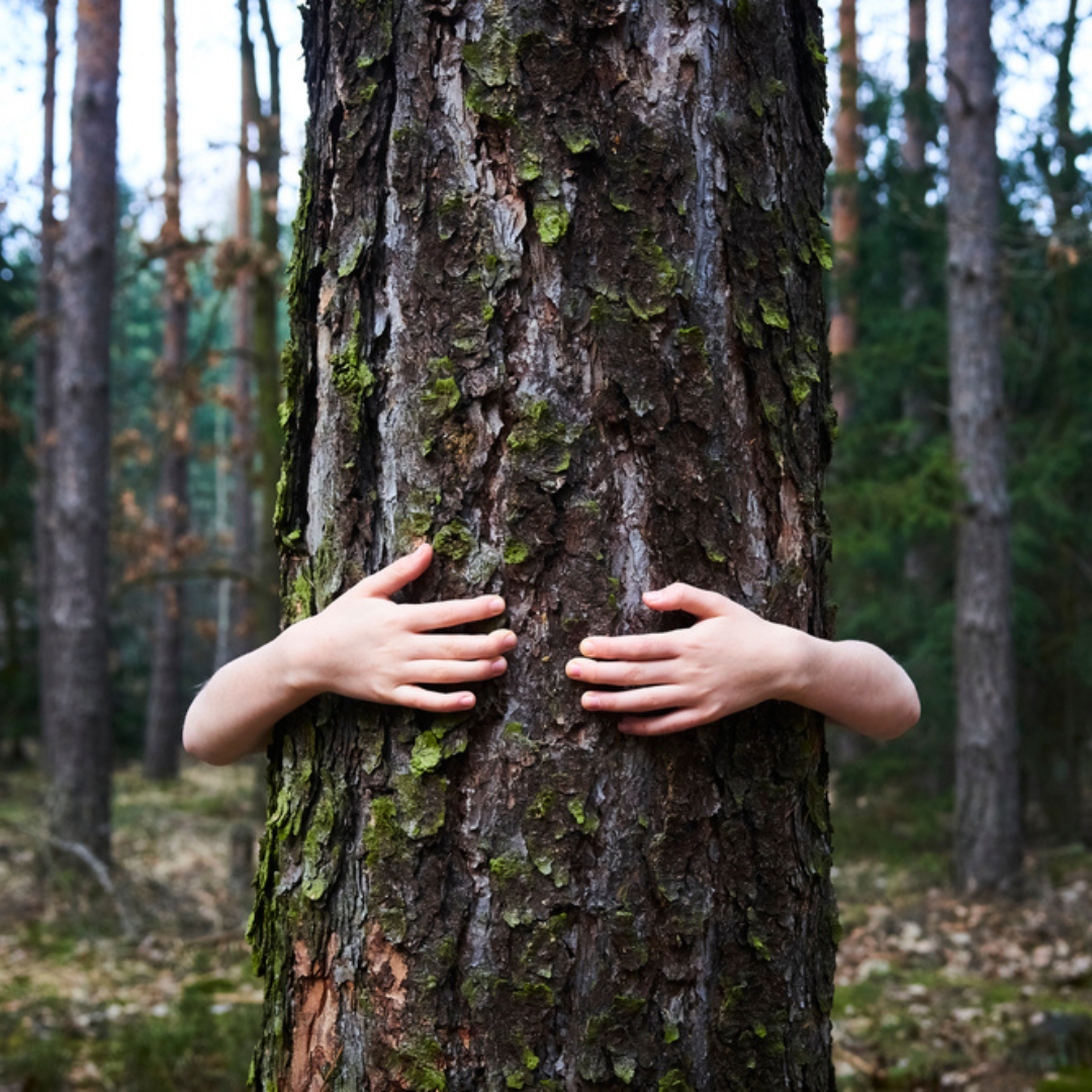 Strange Rituals From All Over the World | Leo Express™